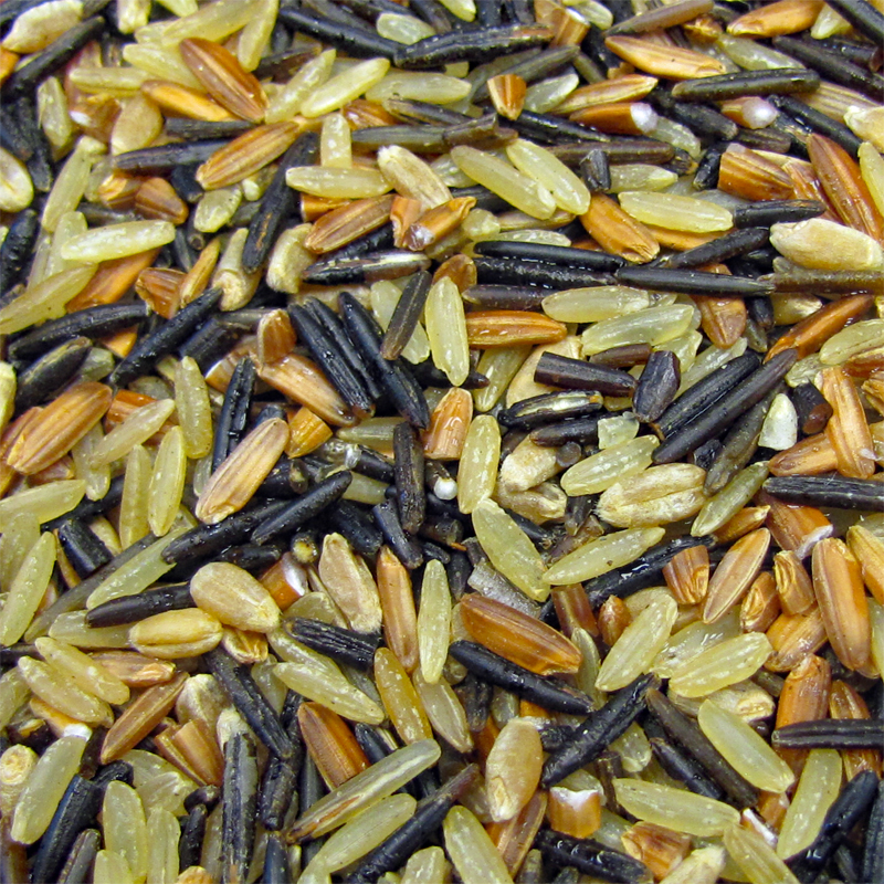 Calico Wild Rice Blend