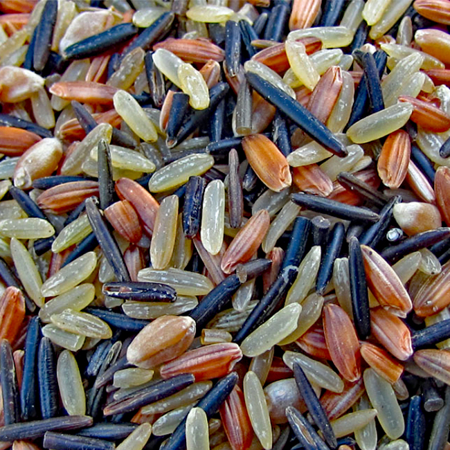 Calico Wild Rice Blend